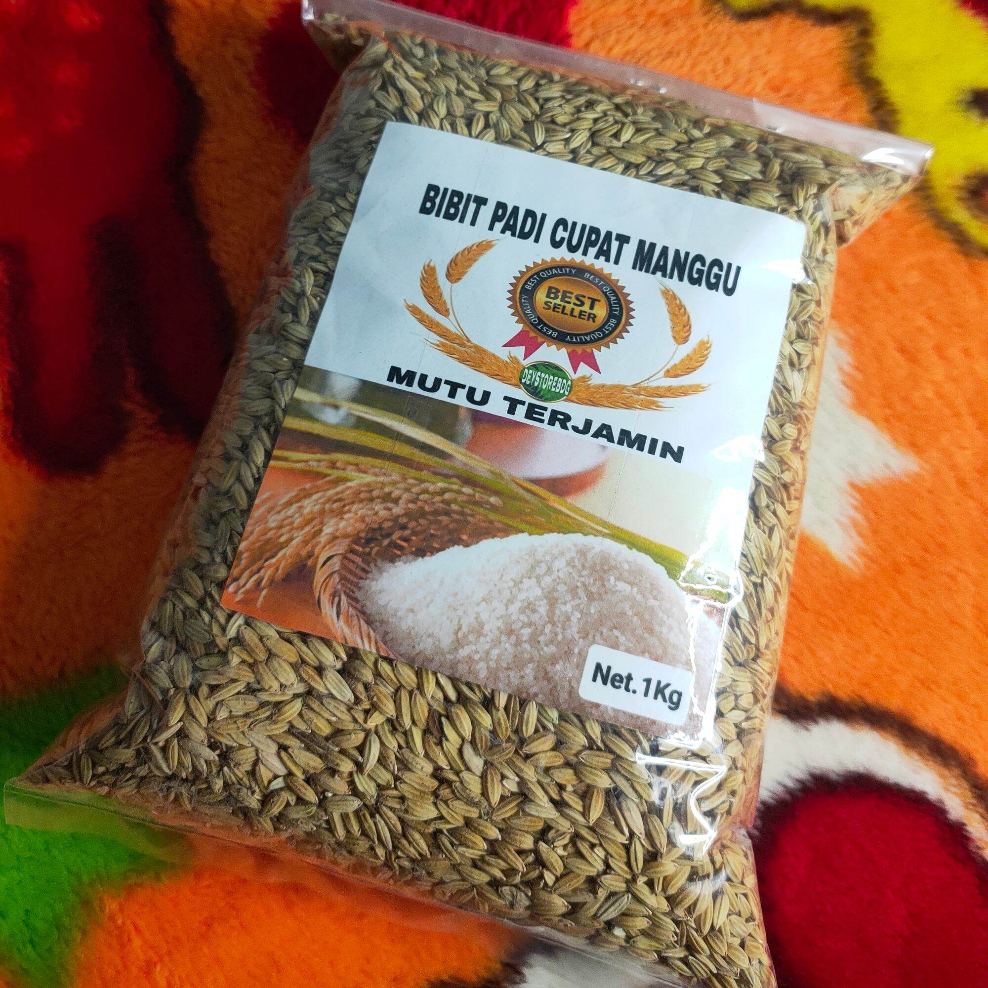 Benih padi putih pulen jenis cupat manggu 1 kg | Lazada Indonesia