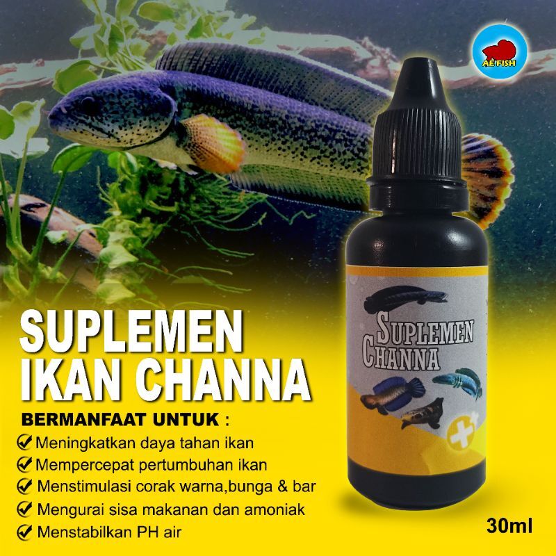 Suplemen obat ikan Channa mutasi ikan Chana probiotik channa | Lazada ...