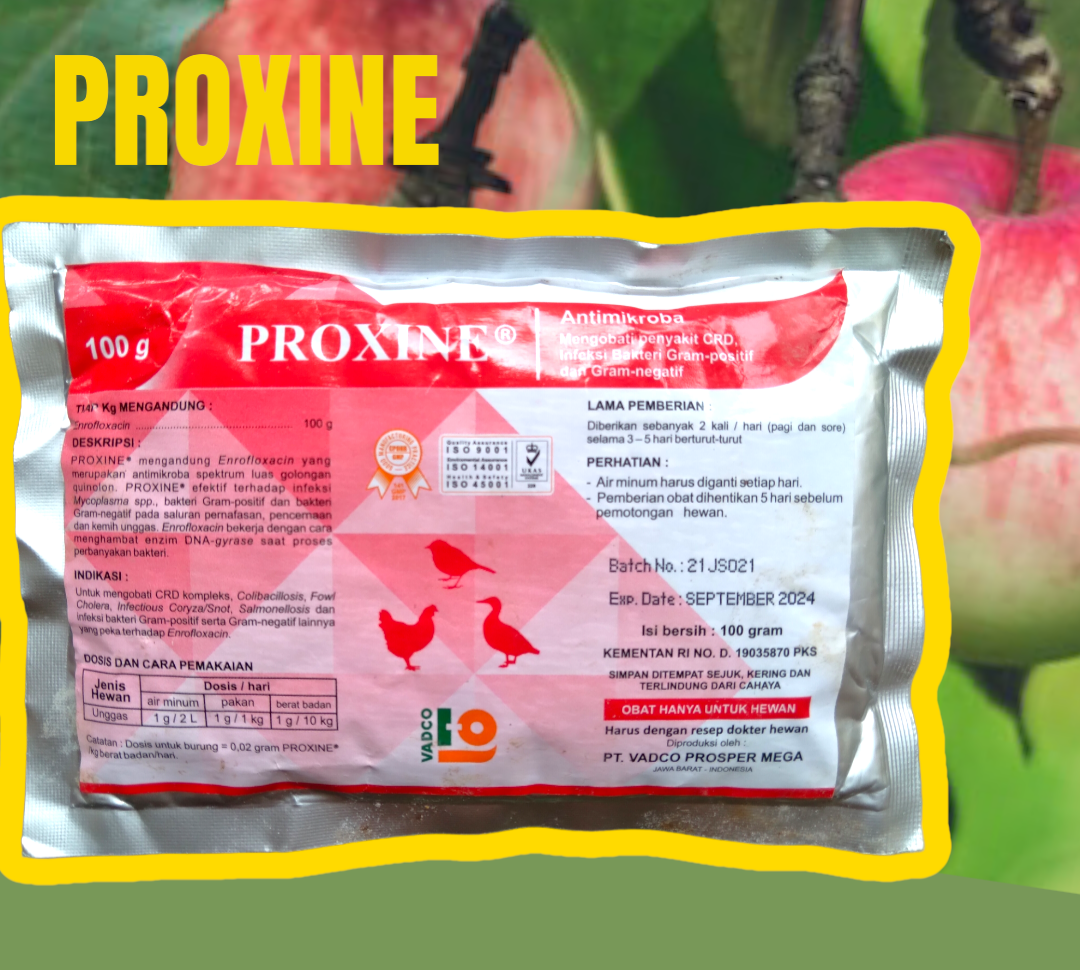 Obat Ayam, Bebek Entok, Puyuh, Ayam Petelur, Joper PROXINE 100 gr ...