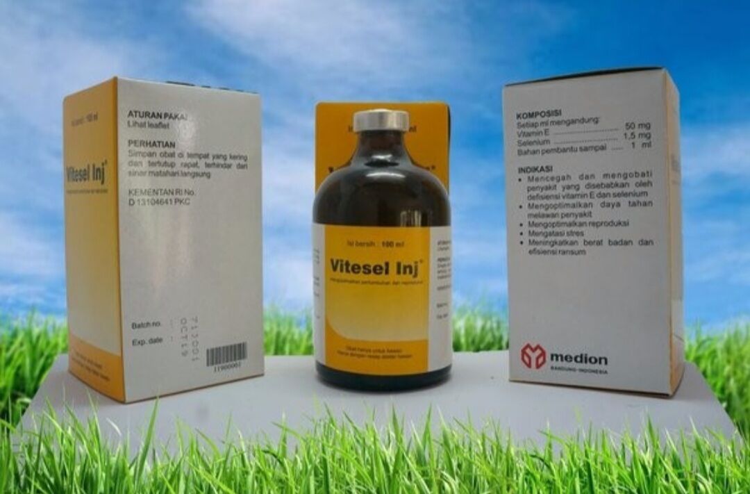 VITESEL 100 ML obat vitamin injeksi memaksimalkan kondisi ayam tetap ...
