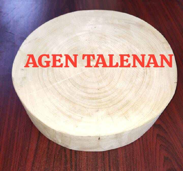 TALENAN KAYU BULAT 20CM/ALAS POTONG DAGING/CABAI/SAYURAN/BAWANG/TATAKAN ...