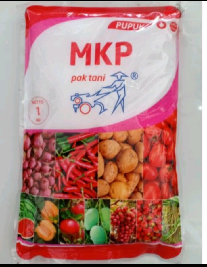Pupuk MKP pak tani 1 kg | Lazada Indonesia
