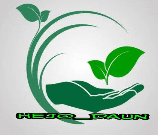 hejo_daun Toko resmi di Indonesia, Online Shop 11 2024