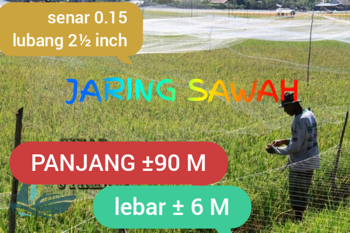 jaring burung jaring sawah jaring padi jaring perangkap burung jaring ...
