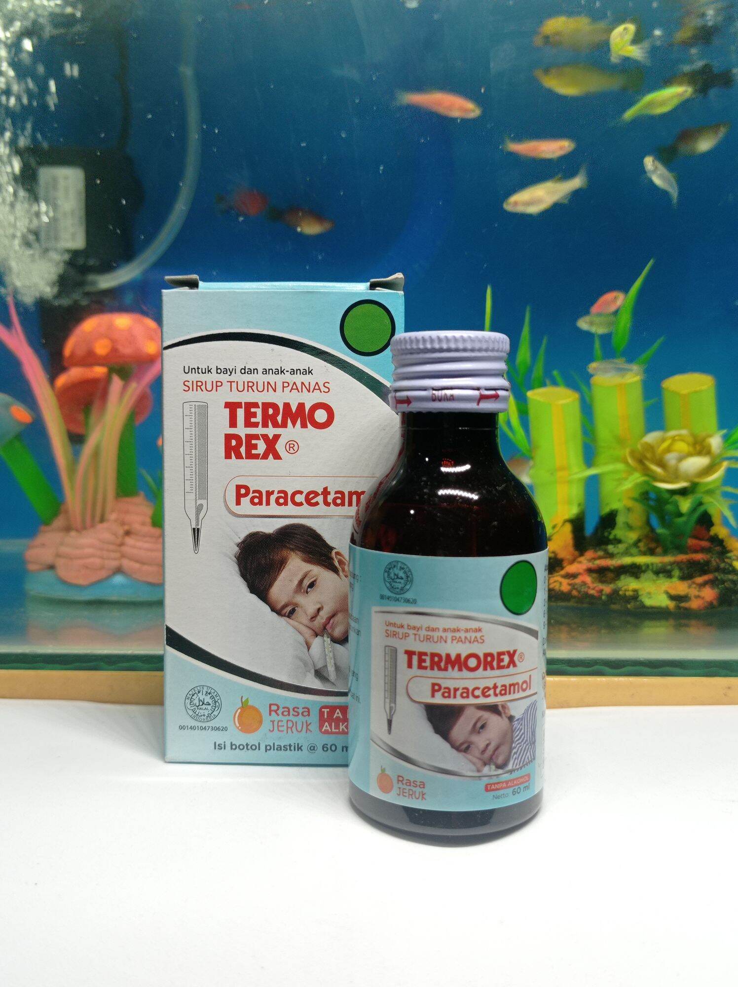 Termorex | Lazada Indonesia