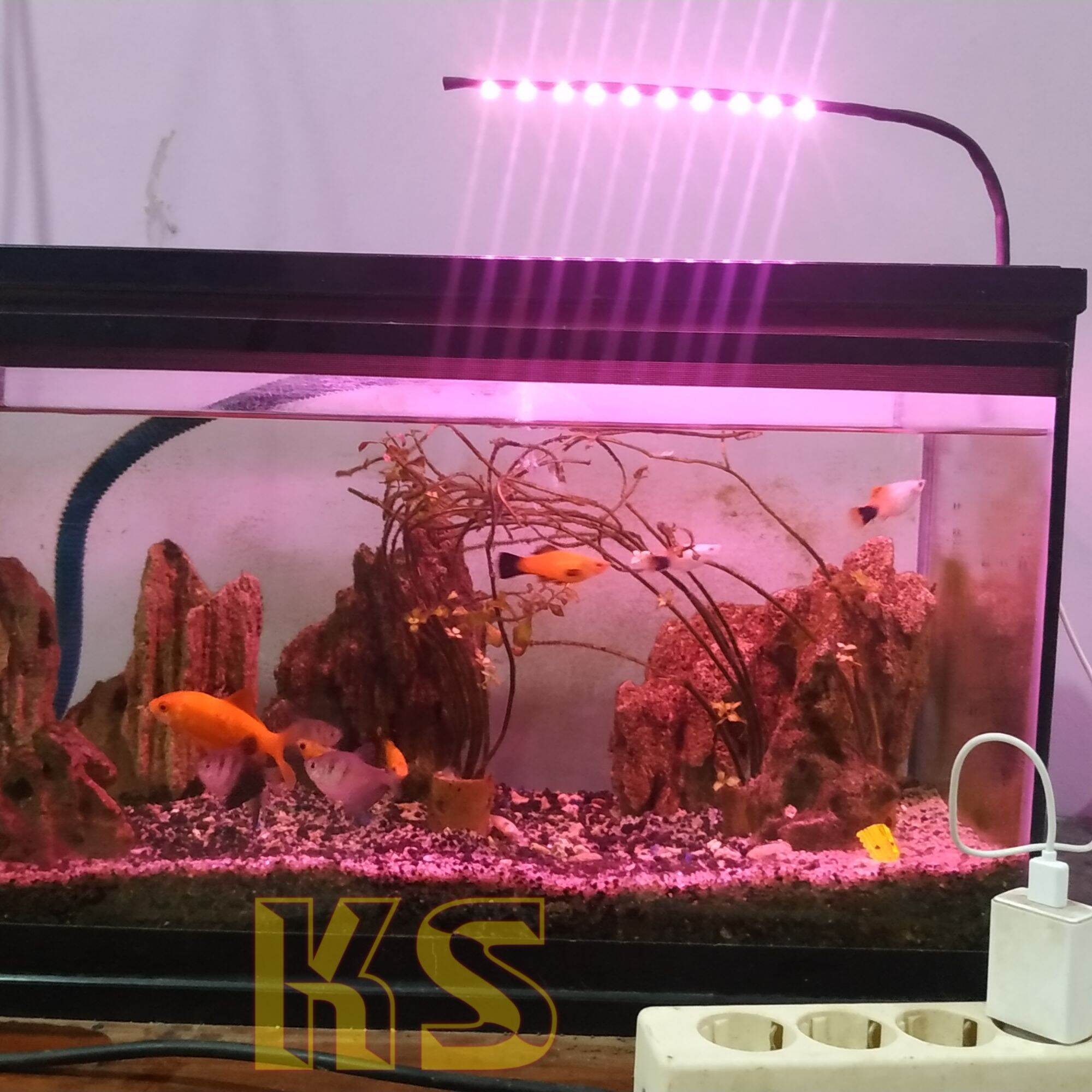 lampu aquarium 10 mata led smd pink lampu aquascape lampu akuarium ...