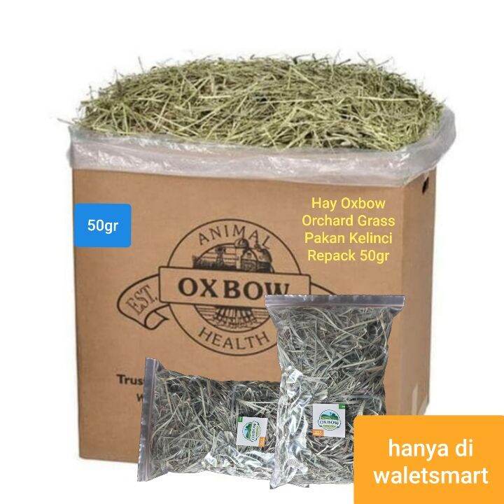 Oxbow Western Timothy Hay | atelier-yuwa.ciao.jp