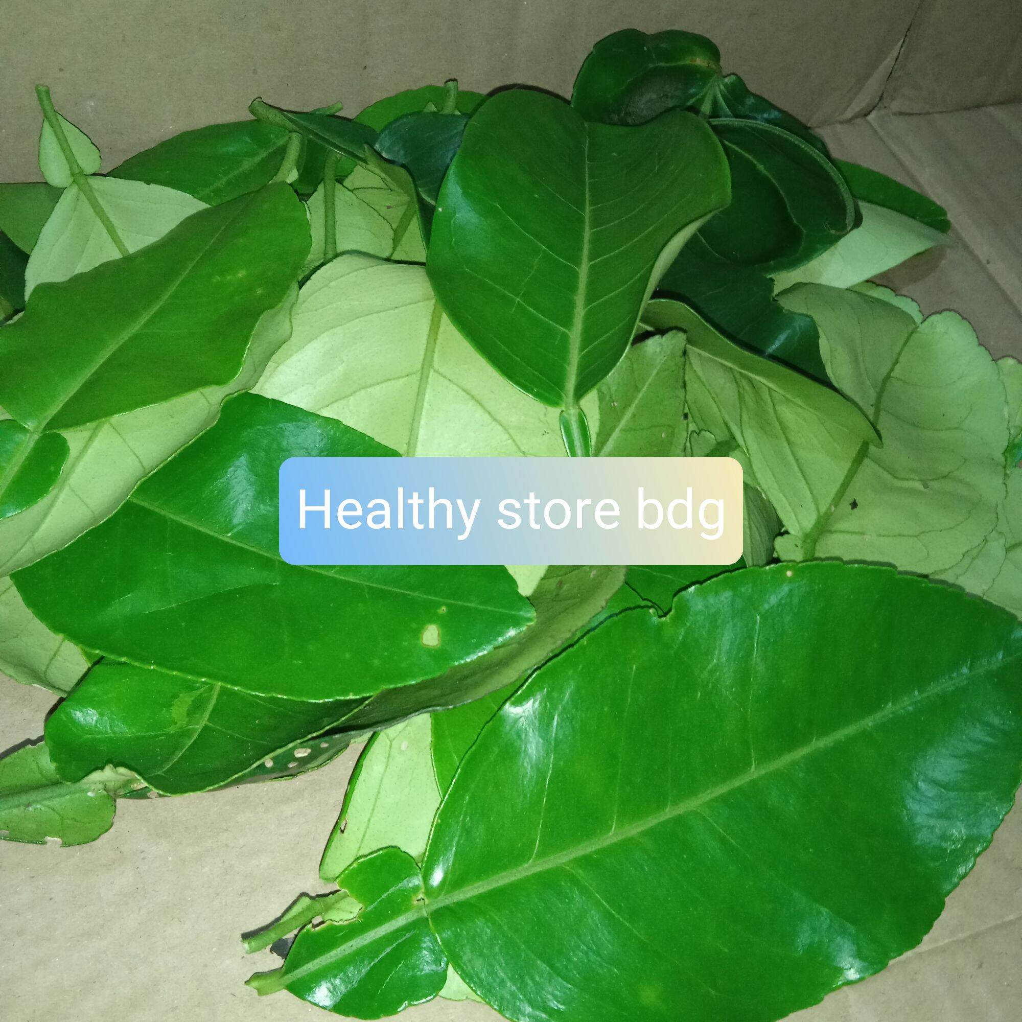 Daun jeruk bali segar 1 kg | Lazada Indonesia