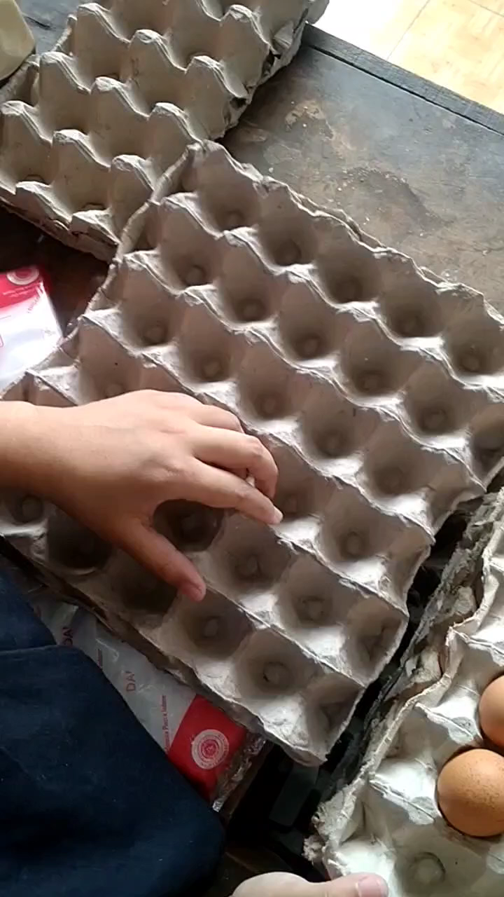 Egg Tray / Tray Telur / Tempat Telur/ Tray Telur Karton isi 50 lembar ...