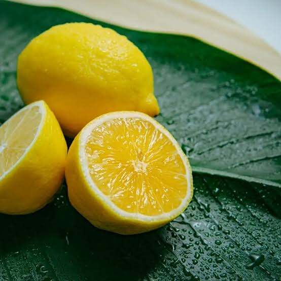 jeruk lemon fresh langsung petik dari kebun berat 1 kg | Lazada Indonesia