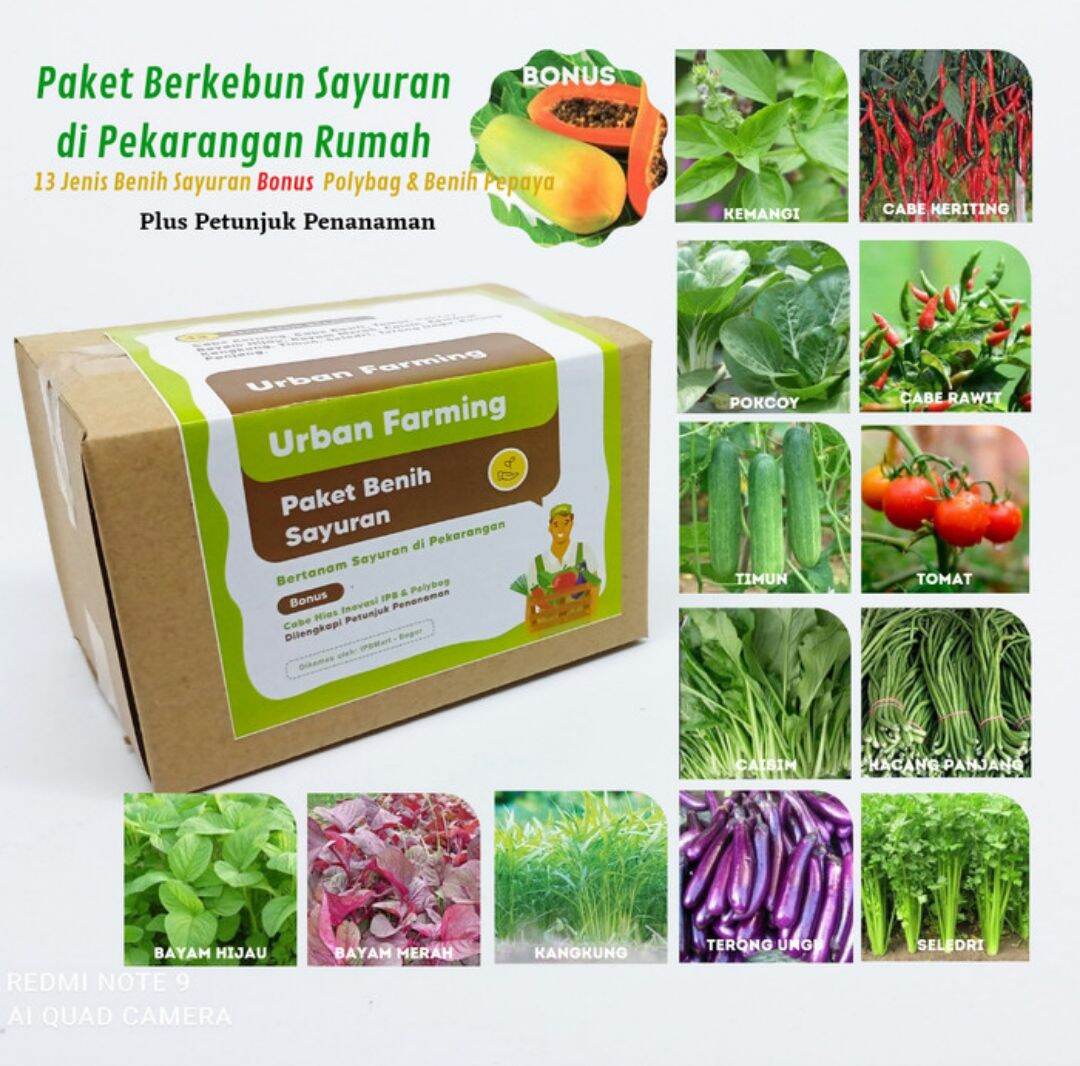 Paket Benih Sayuran 13 Jenis Benih Sayur untuk Urban Farming Benihpedia ...