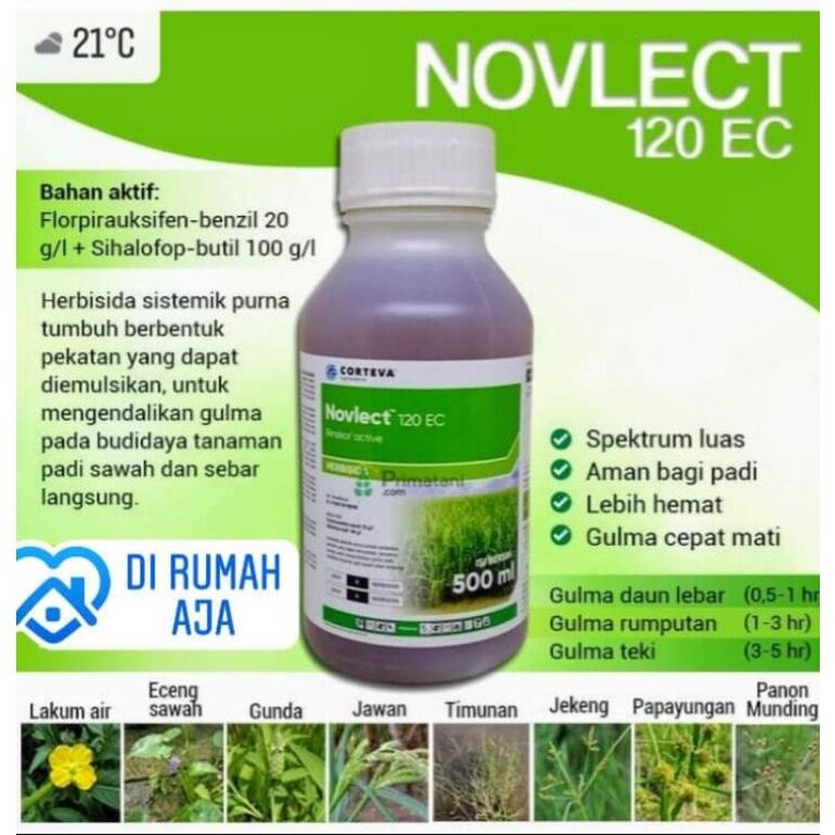 herbisida obat rumput ampuh NOVLECT 500 ml | Lazada Indonesia