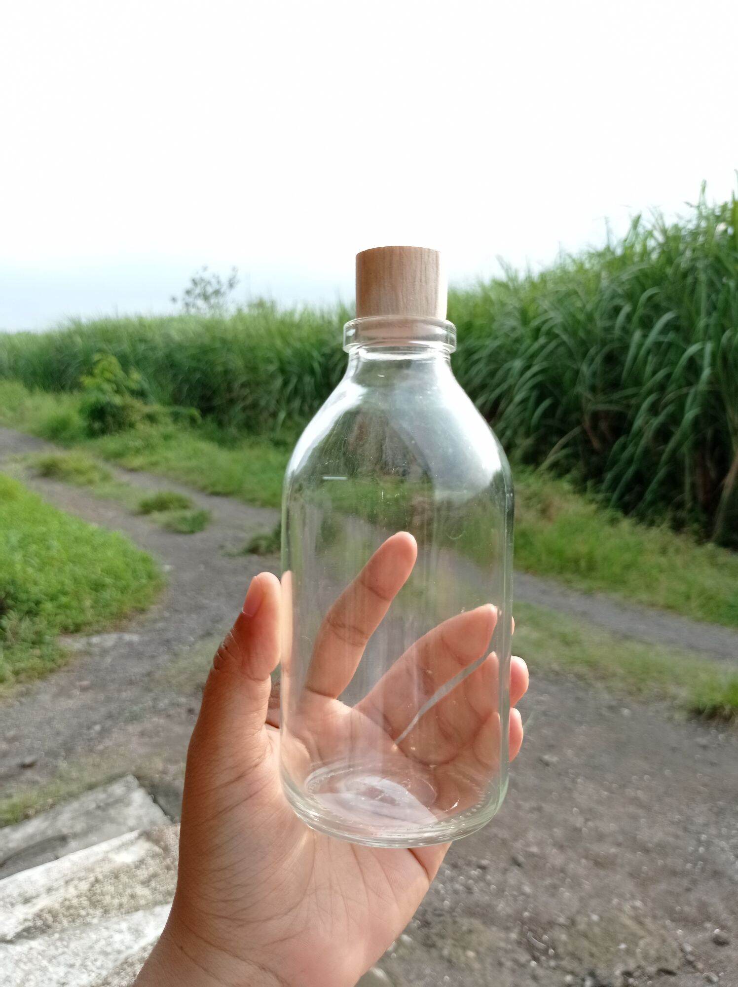 BOTOL KACA TUTUP KAYU 250ML CORK BOTOL 250ML | Lazada Indonesia