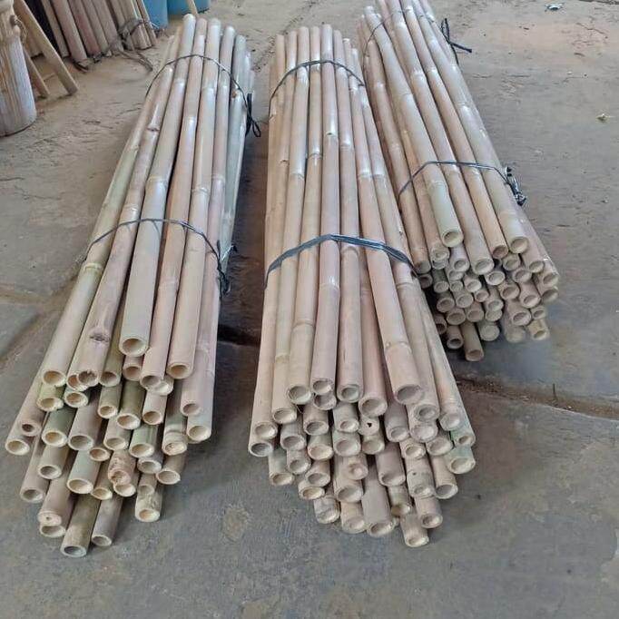 tongkat bambu panjang 2 meter 1 batang | Lazada Indonesia