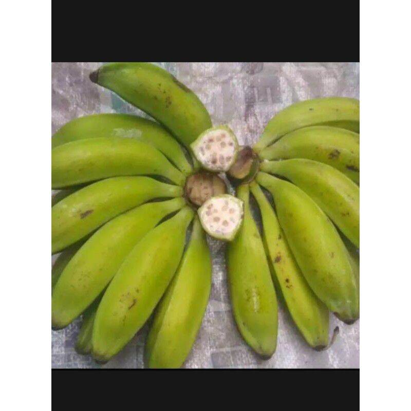 pisang batu atau pisang kelutuk 1kg | Lazada Indonesia