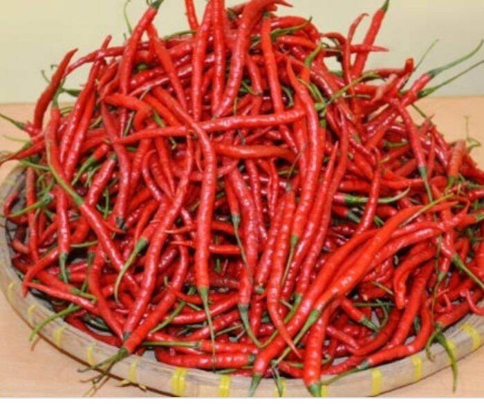cabe merah segar 1kg | Lazada Indonesia