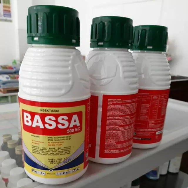 Insektisida BASSA 500ec 100ml | Lazada Indonesia