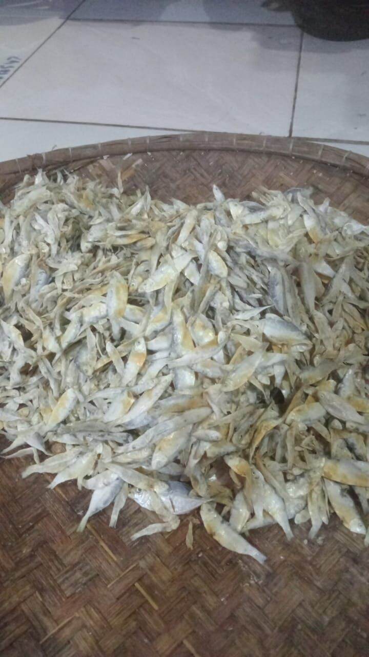 IKAN ASIN CAMPURAN MIX RUCAH/ IKAN ASIN TEMBANG ORIGINAL 1KG | Lazada ...