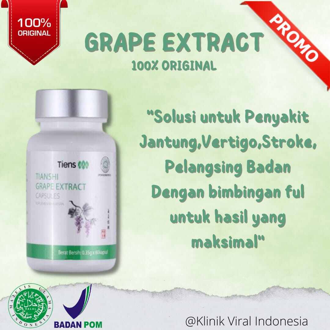 Original 100% Herbal Multivitamin Tianshi Obat Vertigo/Jantung/Stroke ...