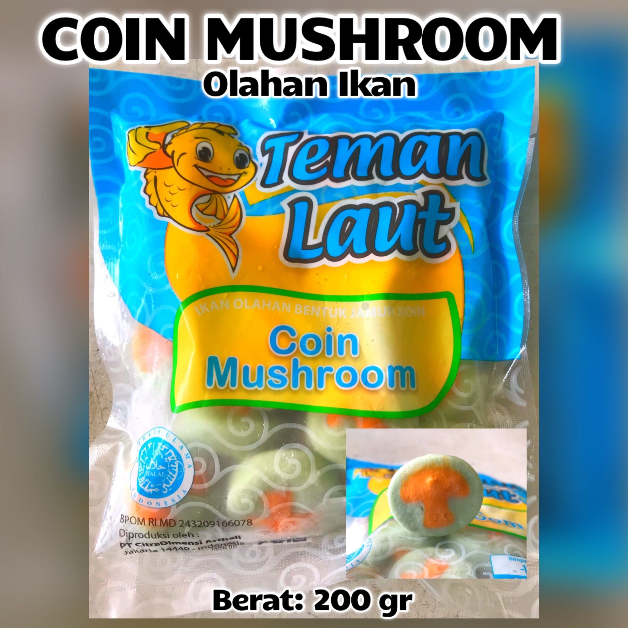 Coin Mushroom Teman Laut | Lazada Indonesia
