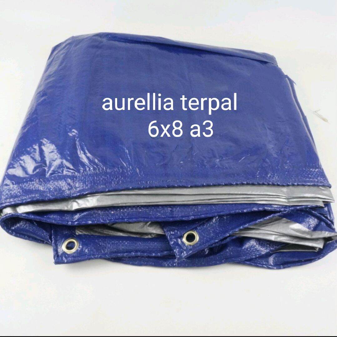 terpal 6x8 kualitas sedang type a3 warna biru silver | Lazada Indonesia