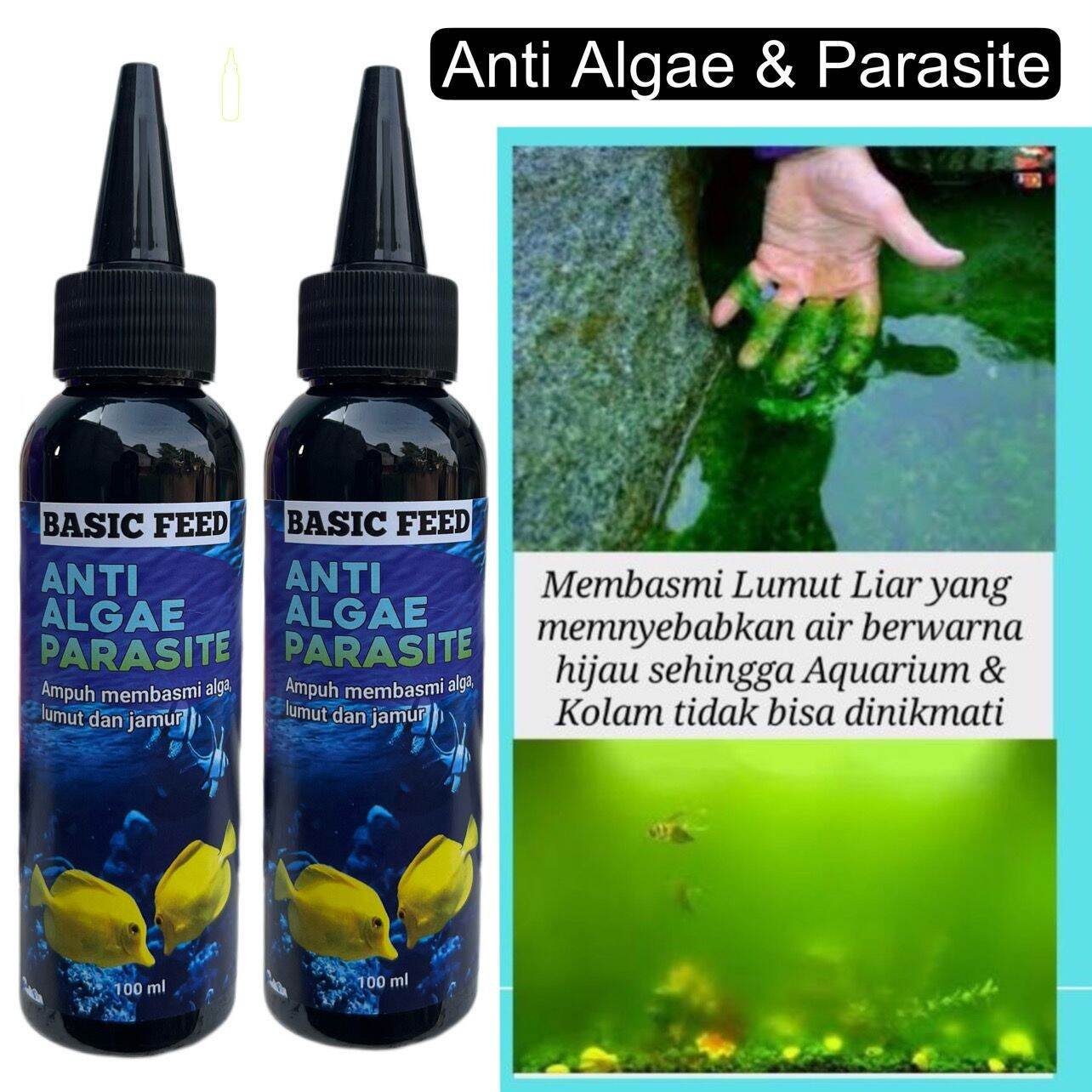BASIC FEED anti algae parasite & bakteri pembasmi lumut aquarium ...