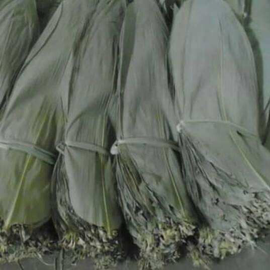 daun bambu awi kering 250 | Lazada Indonesia