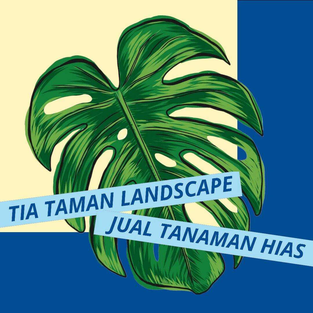 Aman Taman Landscape Indonesia Toko Resmi Online | Beli Sekarang di Lazada
