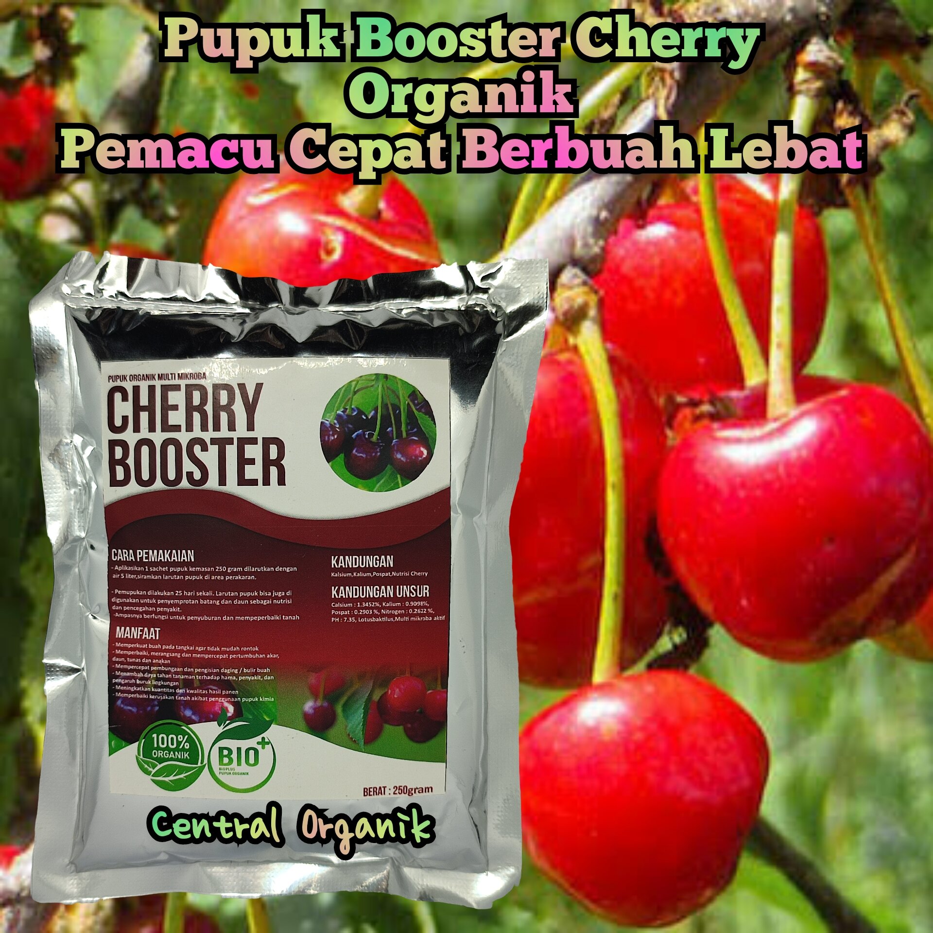 Pupuk Booster Cherry Organik Cepat Berbuah Lebat Pupuk Pelebat Buah ...