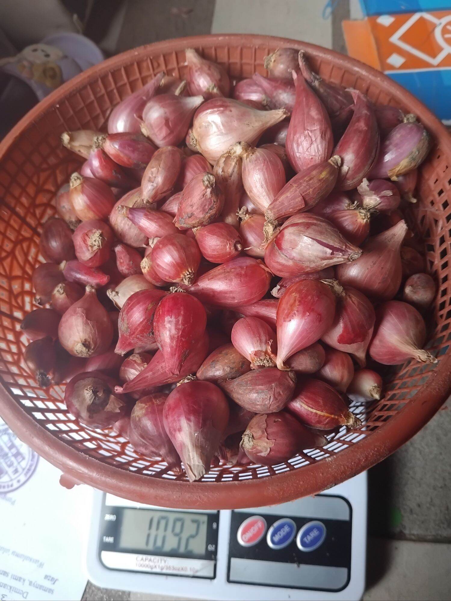 Bawang Merah BREBES Asli 1kg | Lazada Indonesia