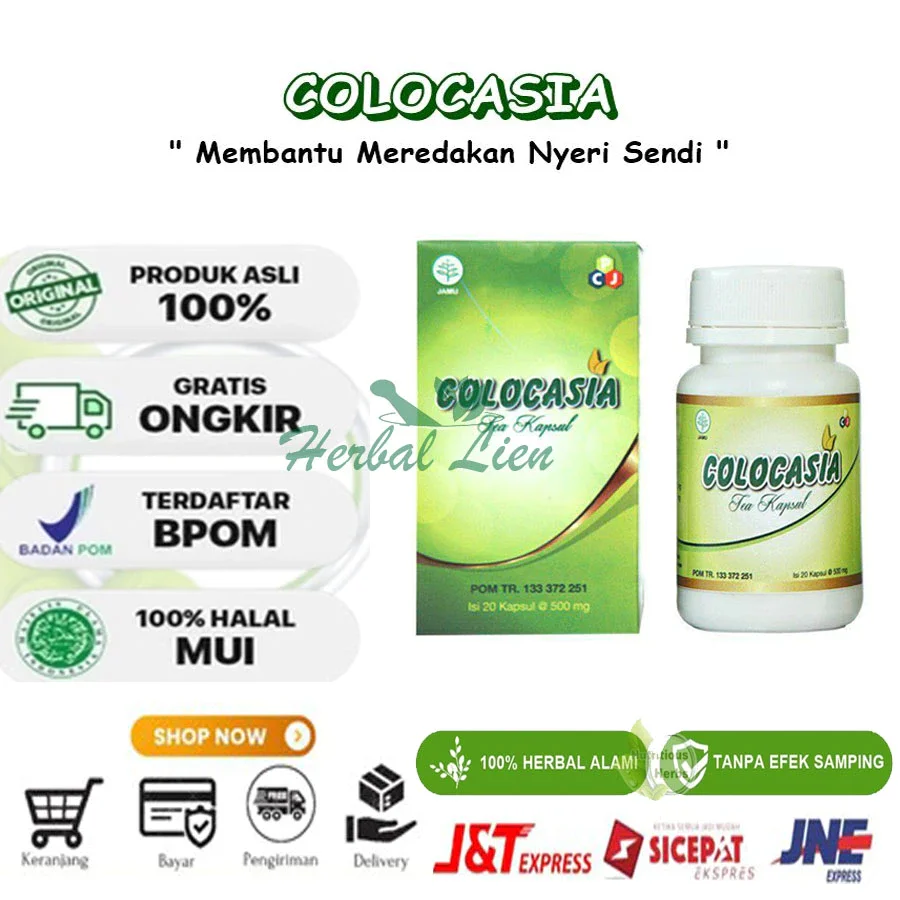 Colocasia Asli Original Bpom Obat Nyeri Sendi Asam Urat dan Reumatik ...