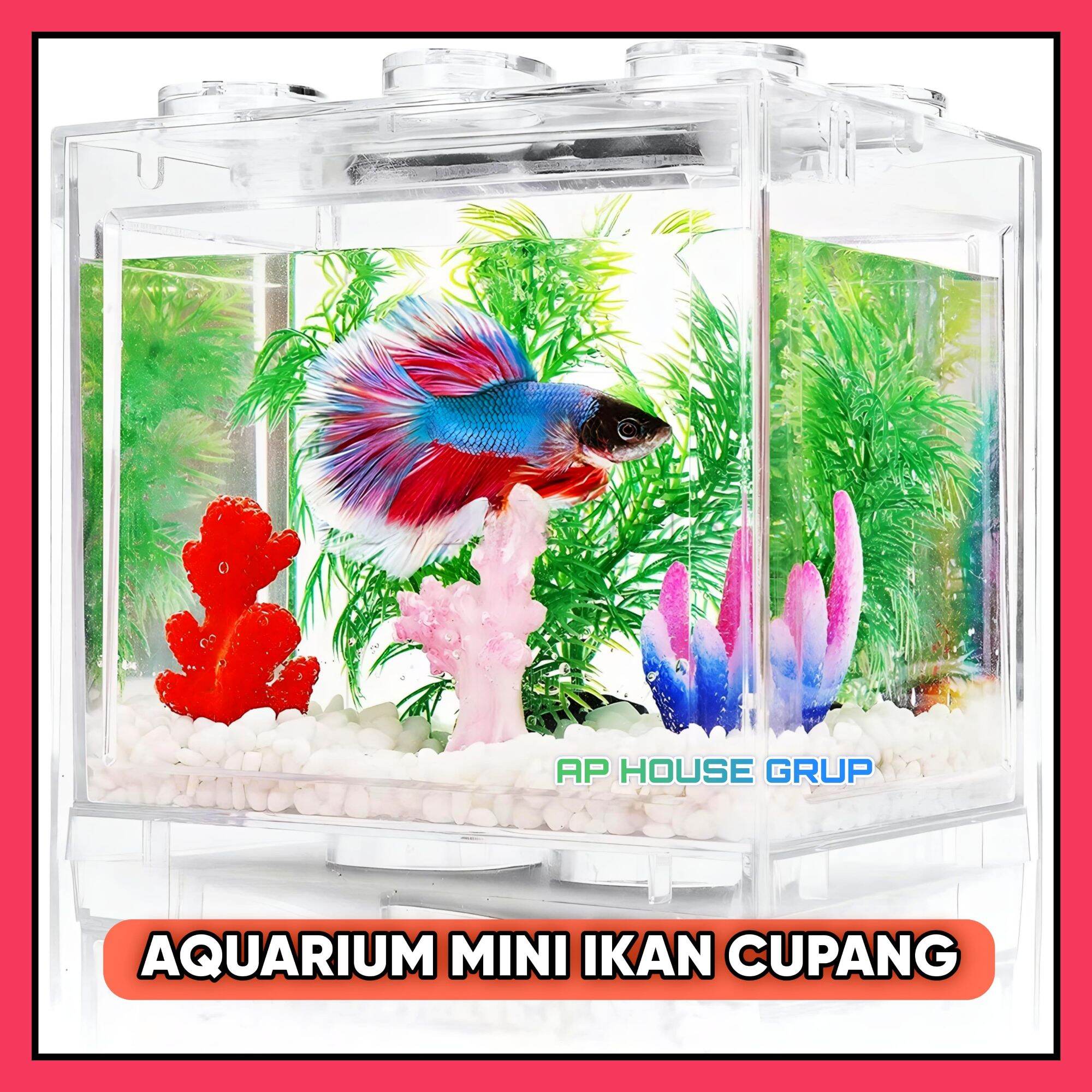 AQUARIUM MINI IKAN CUPANG - IKAN HIAS - KURA KURA - GECKO | Lazada ...