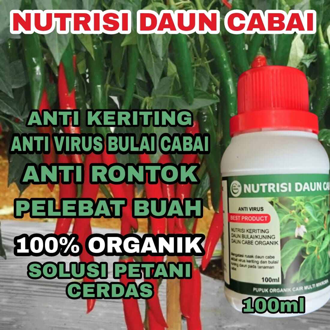 Pupuk bulai cabai Obat semprot hama cabai anti virus keriting daun cabe ...