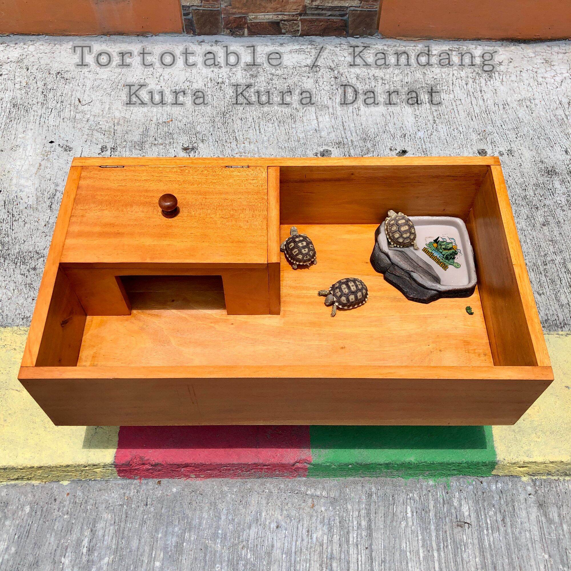 Torto Table Luas / Kandang Kura Kura Darat | Lazada Indonesia