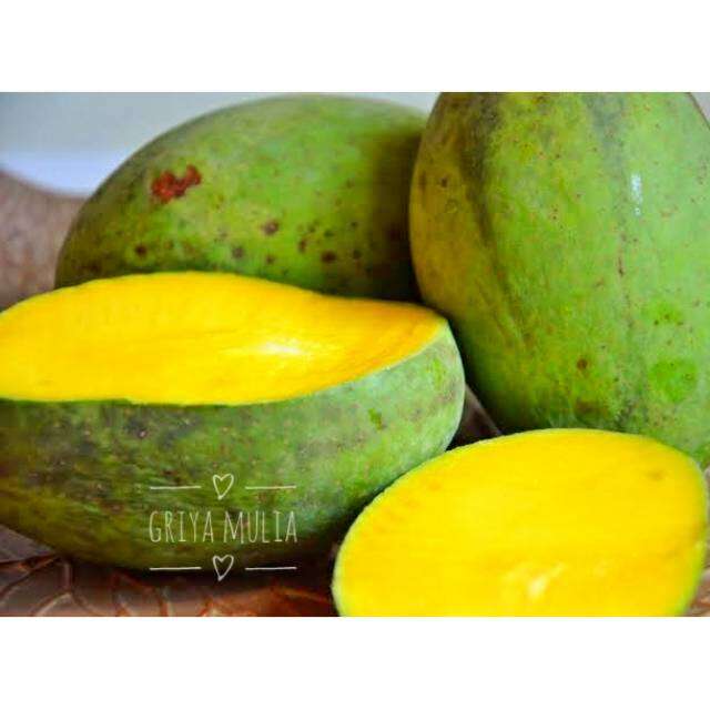 Buah Mangga Kweni Organik 1 kg / Mangga kuweni / Mangga Wangi | Lazada ...