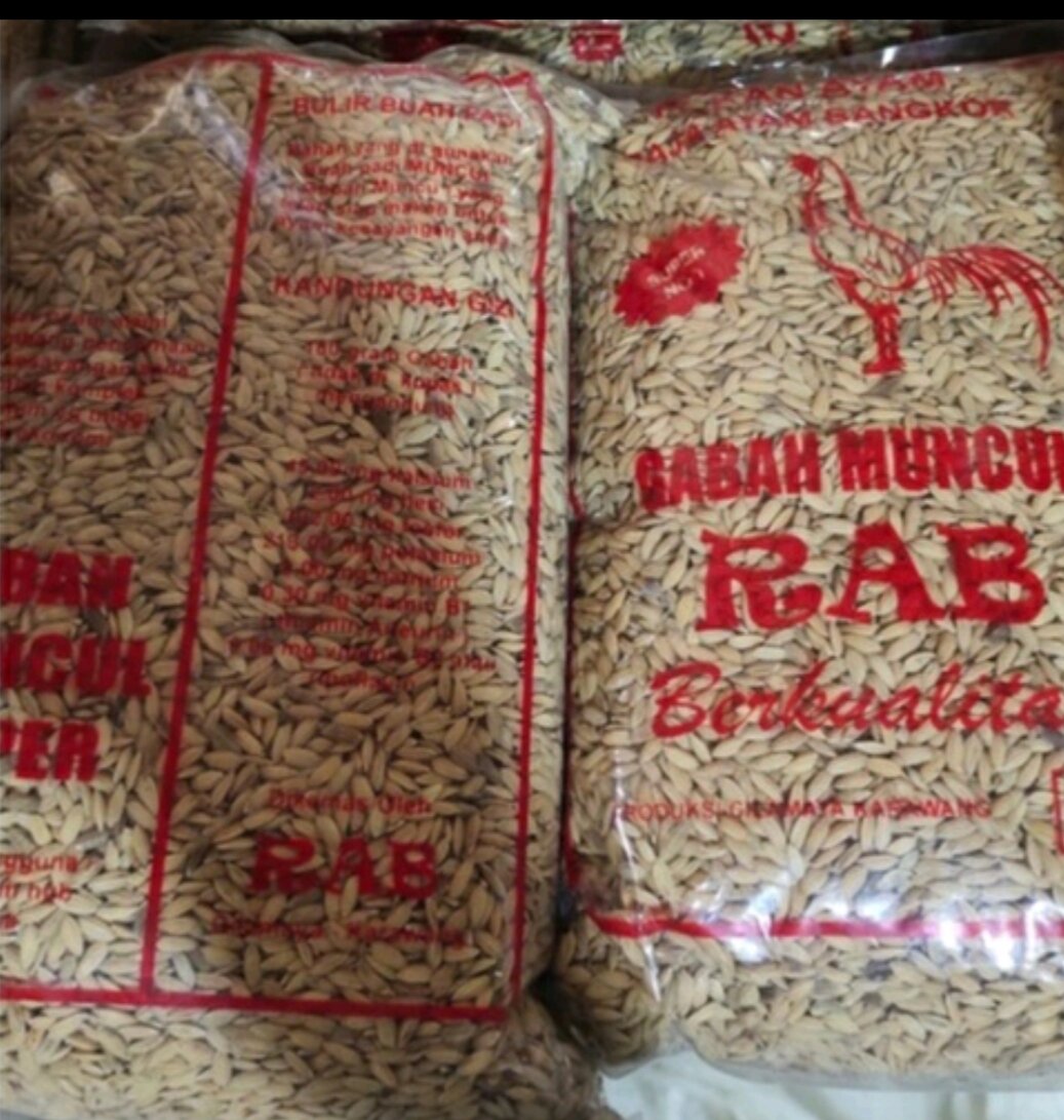 Gabah Muncul / Pakan Ayam Gabah Muncul Super kemasan 1kg | Lazada Indonesia
