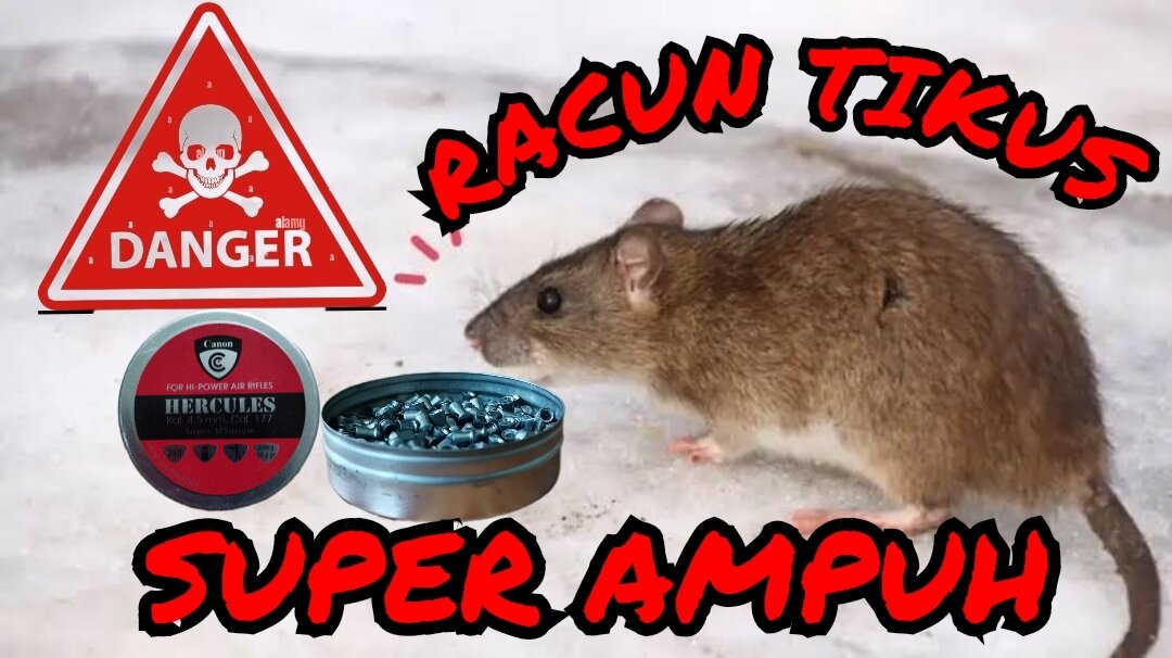RACUN TIKUS Cap Hercules | Lazada Indonesia