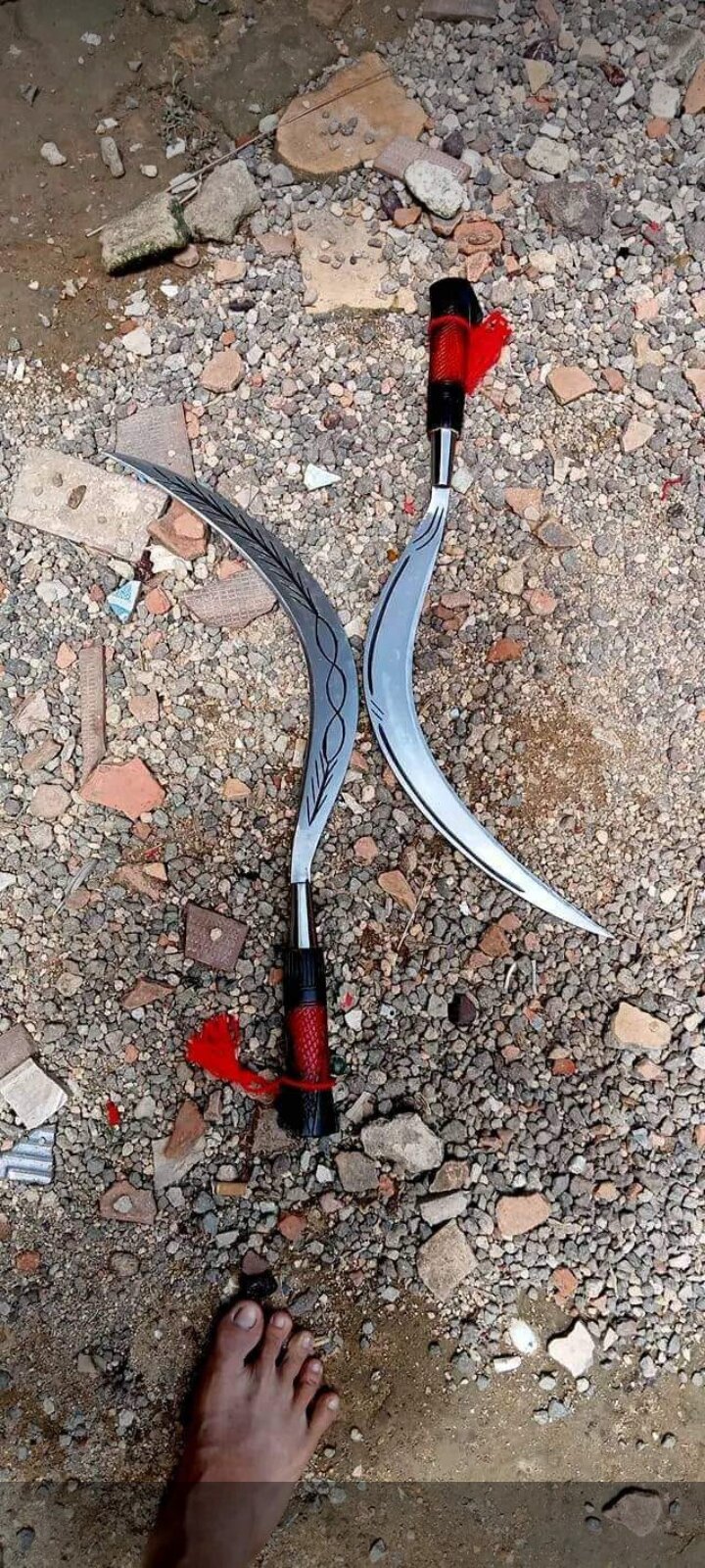 0,3/55cm CELURIT ASLI MADURA | Lazada Indonesia