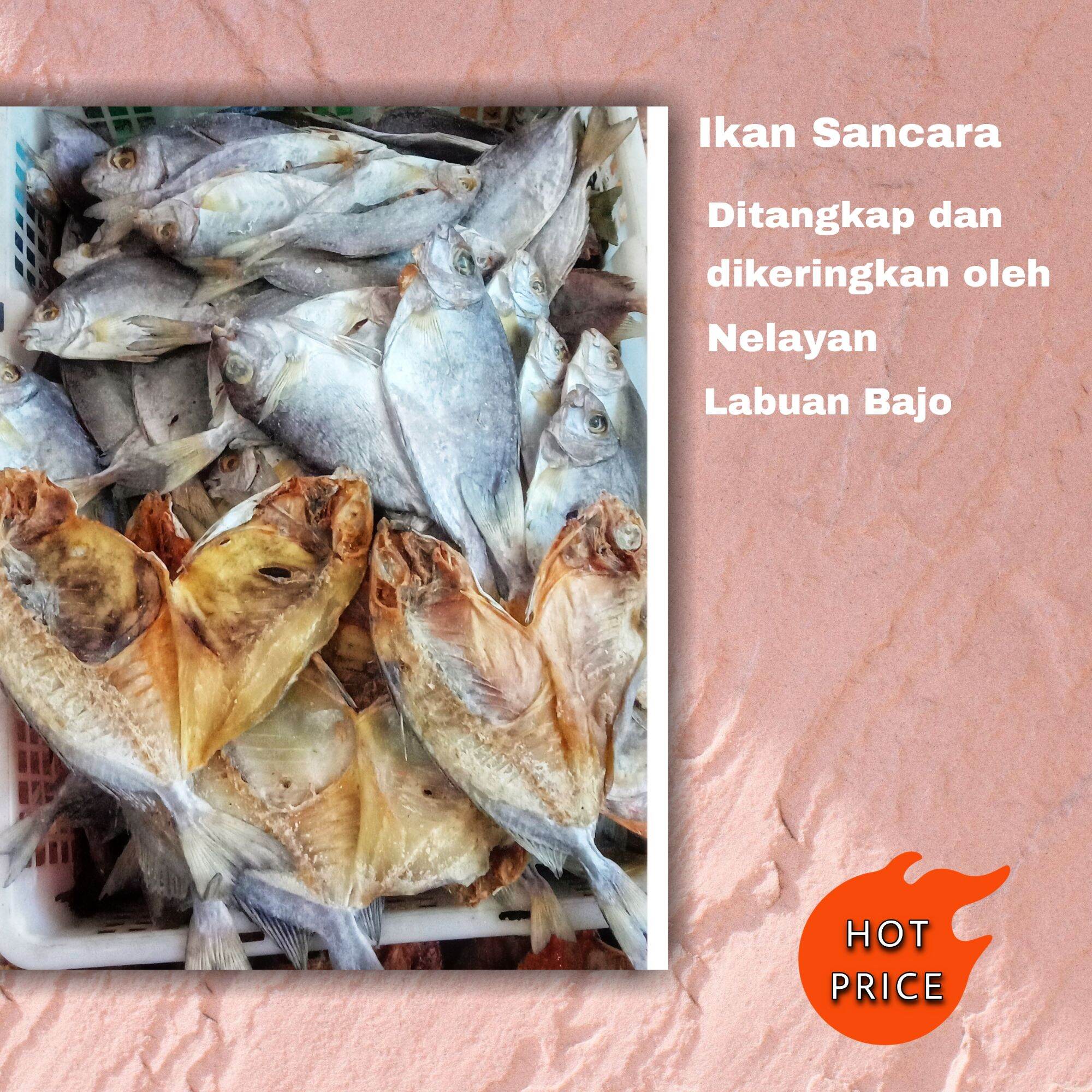 Ikan Sancara Cara 1 kg khas Labuan Bajo Flores NTT | Lazada Indonesia