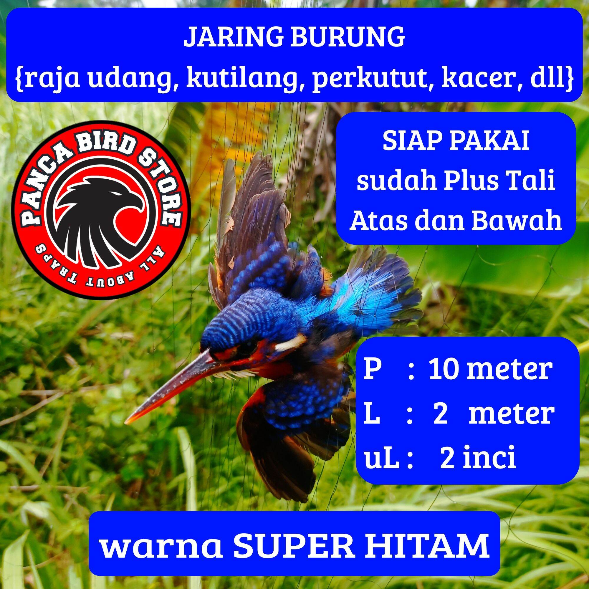 PERANGKAP KACER .P10. JARING BURUNG RAJA UDANG JARING PERKUTUT JARING ...
