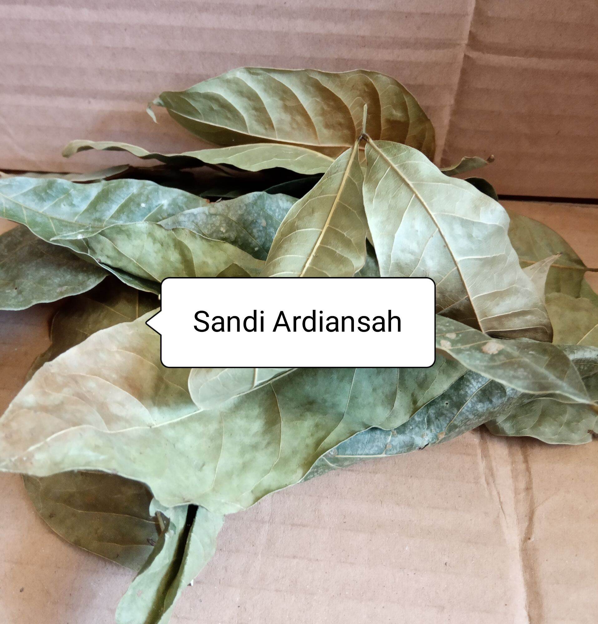 Obat reumatik Daun mahoni atau mahuni kering per lembar | Lazada Indonesia