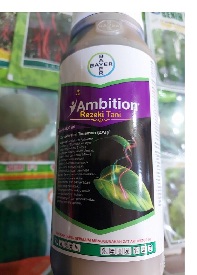 Ambition 500 ml Zat Aktivator Asam Amino Tanaman - Bayer | Lazada Indonesia