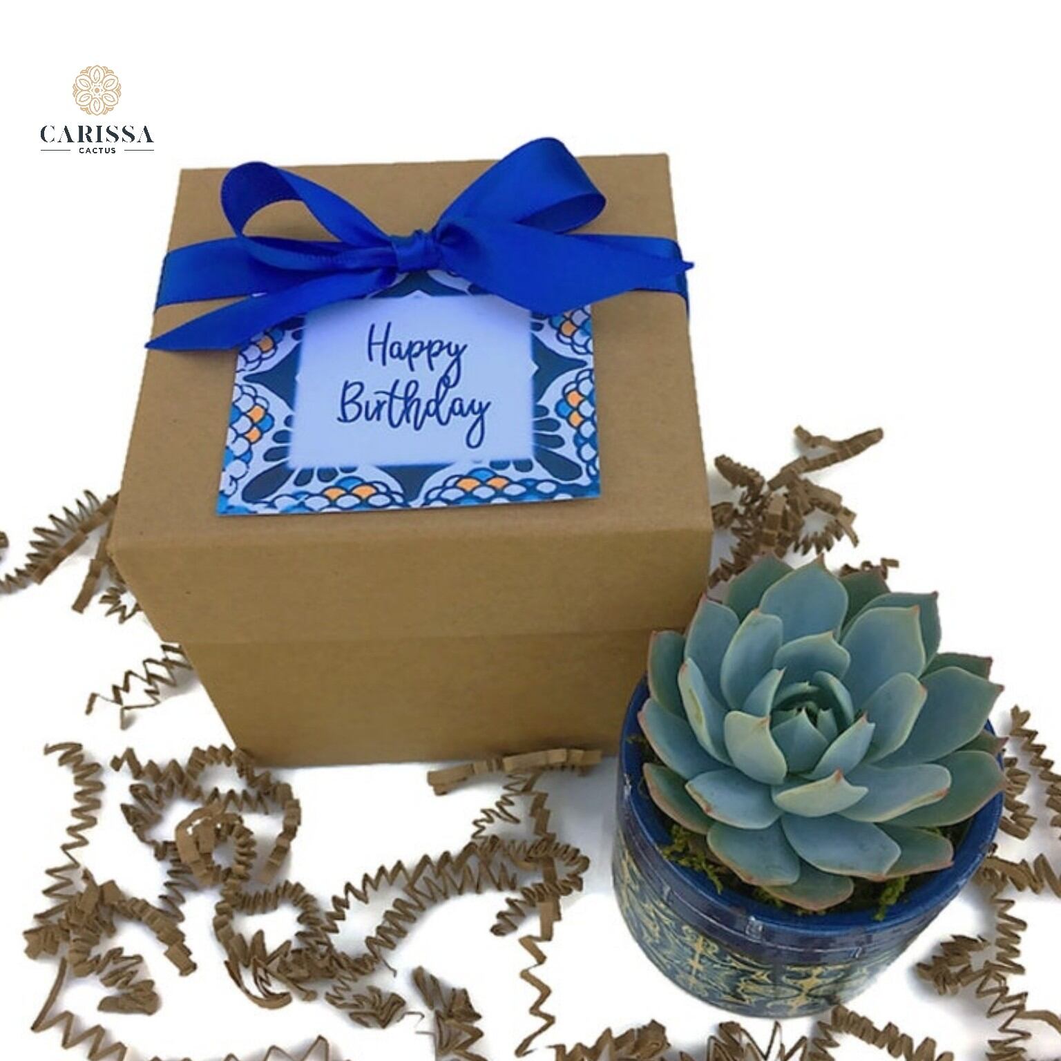 Gift Box Tanaman hidup Sekulen dan Pot - Hampers Murah - Hampers ...