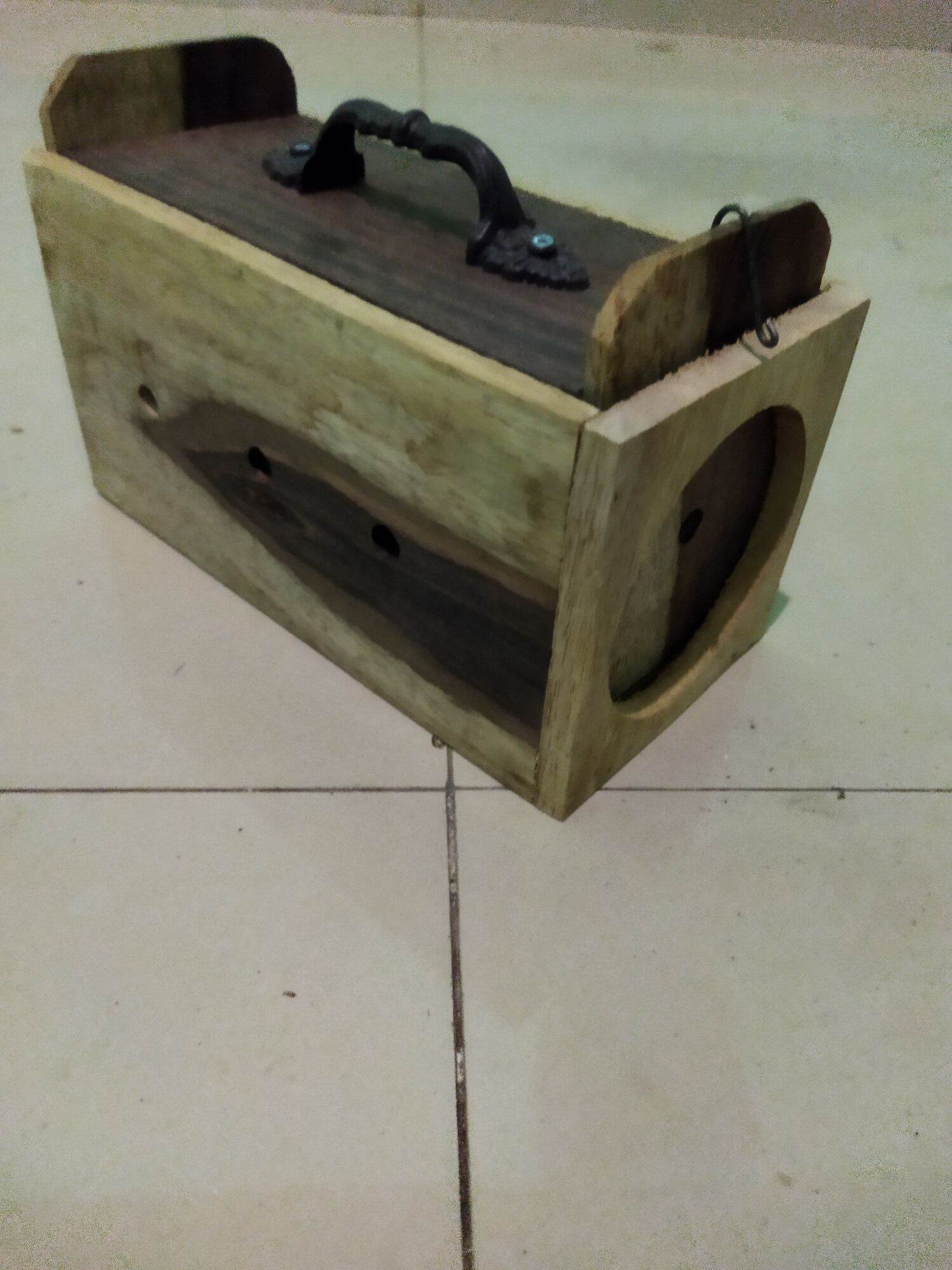 box cod burung kayu sonokeling | Lazada Indonesia