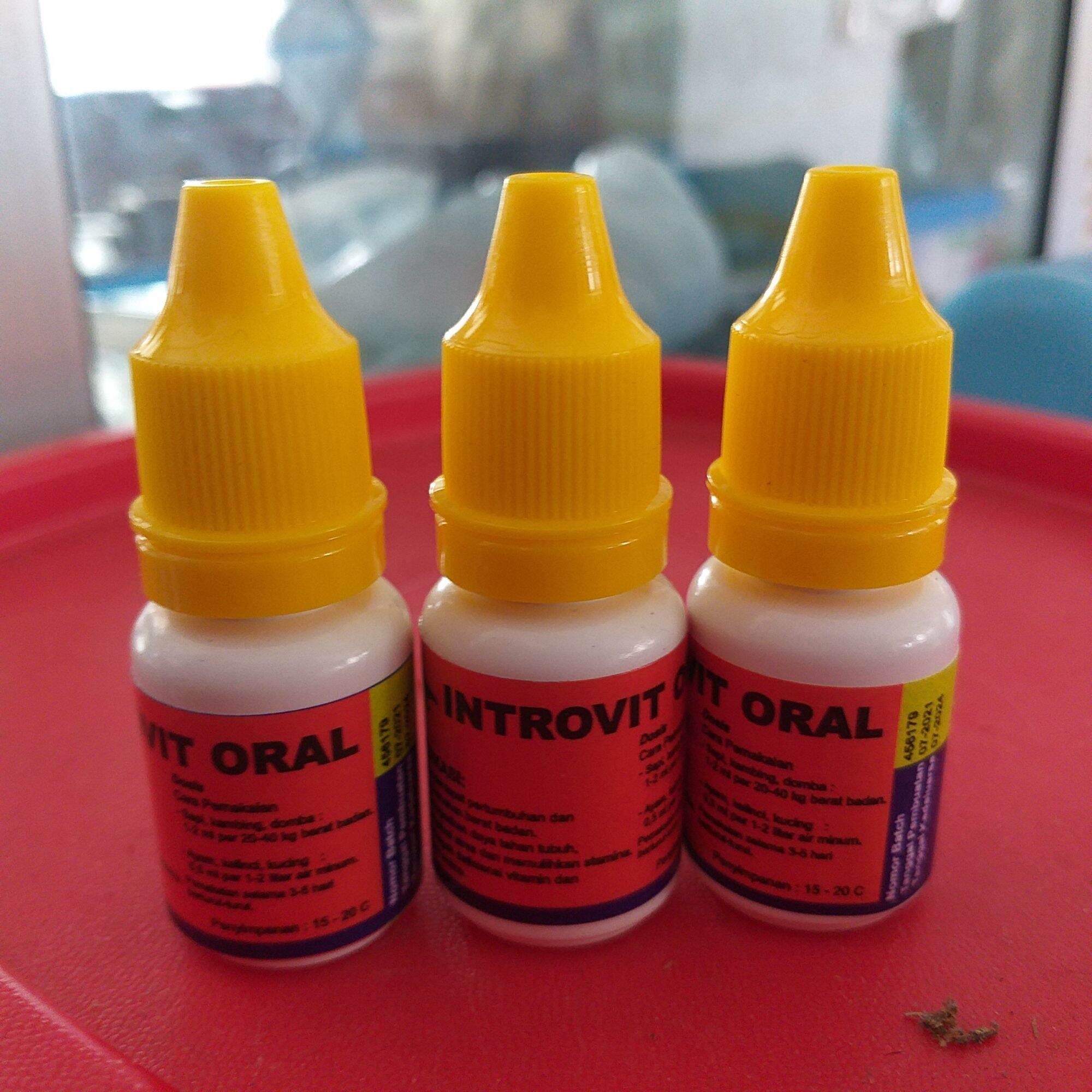 Introvit Oral 10 ml Multivitamin dan asam amino ayam, burung, kelinci ...