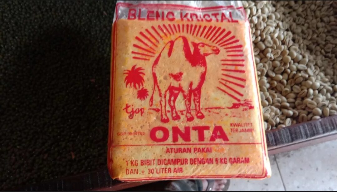 OBAT KRUPUK/GARAM BLENG BAHAN PENGENYAL DAN PENGEMBANG KRUPUK | Lazada ...