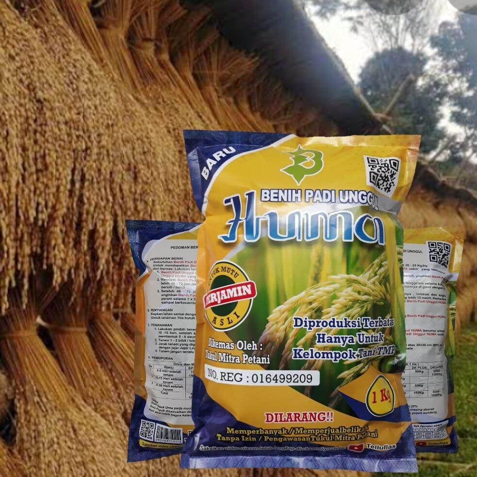 Padi Huma Padi Darat | Lazada Indonesia