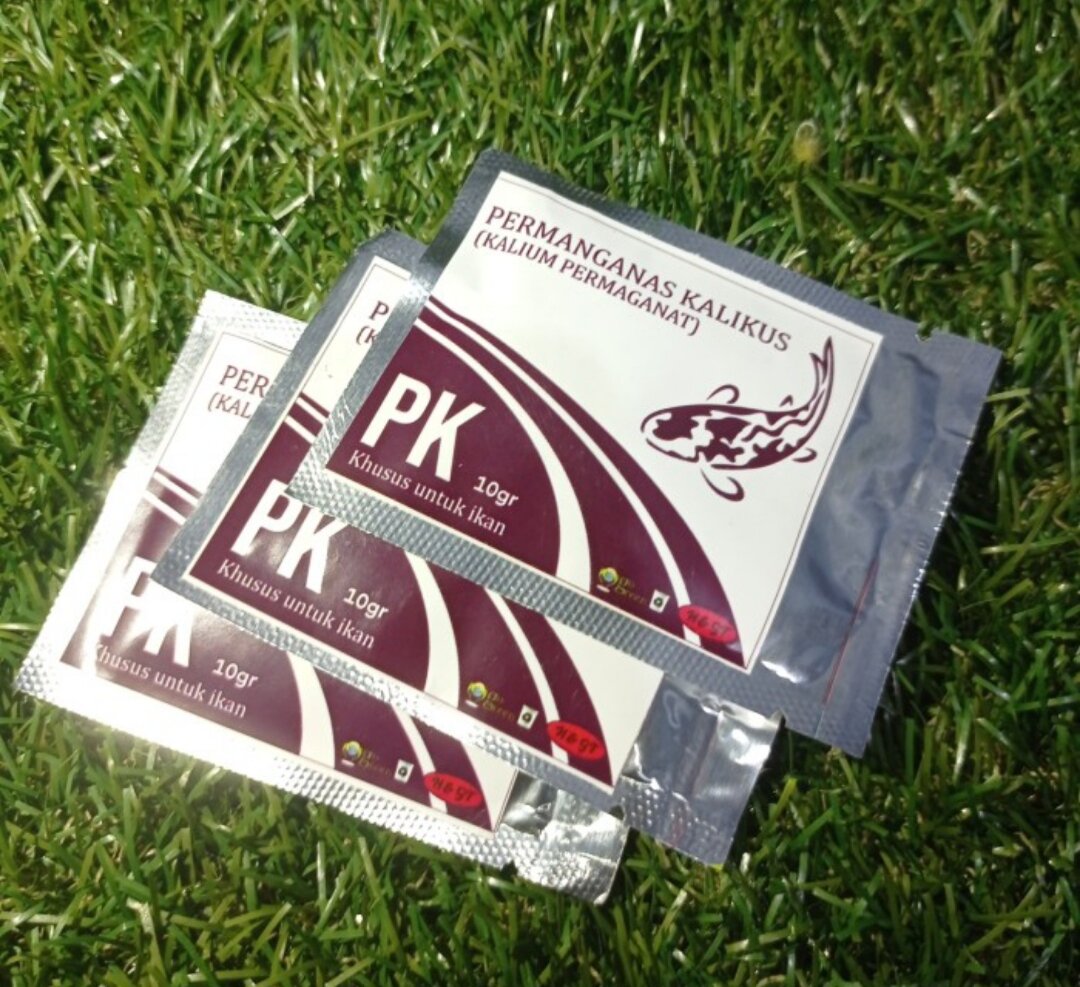 PK obat khusus ikan koi 10 gram | Lazada Indonesia