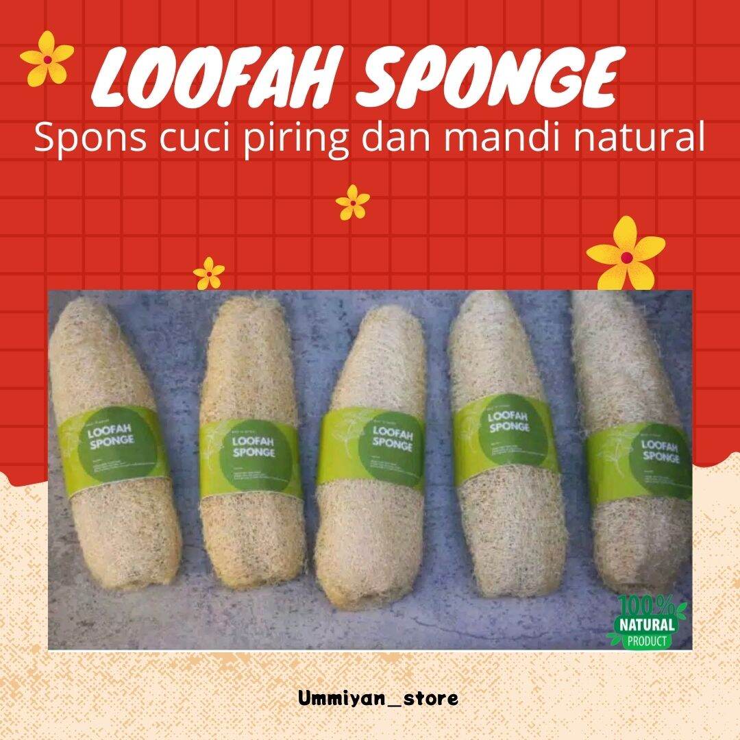 loofah sponge spons cuci piring spons mandi | Lazada Indonesia