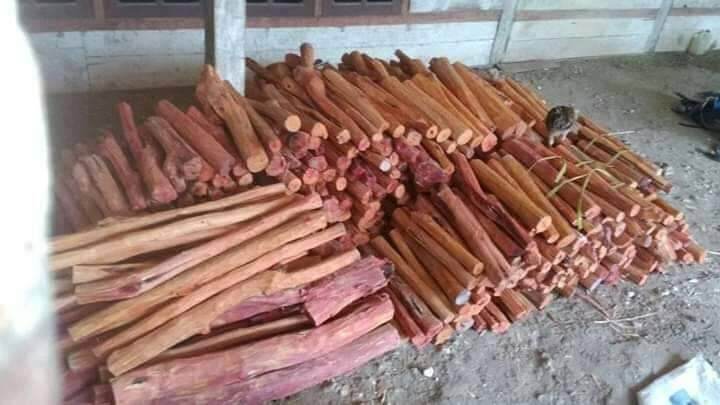 KAYU SECANG BATANG 1 KG | Lazada Indonesia